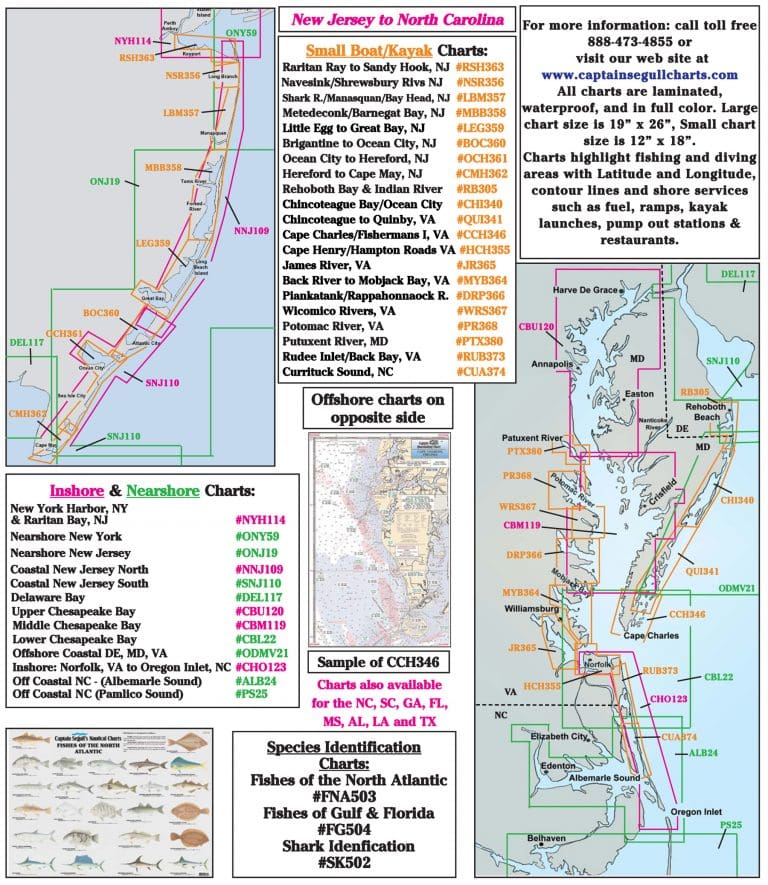 Coastline Layout - Captain Segull's